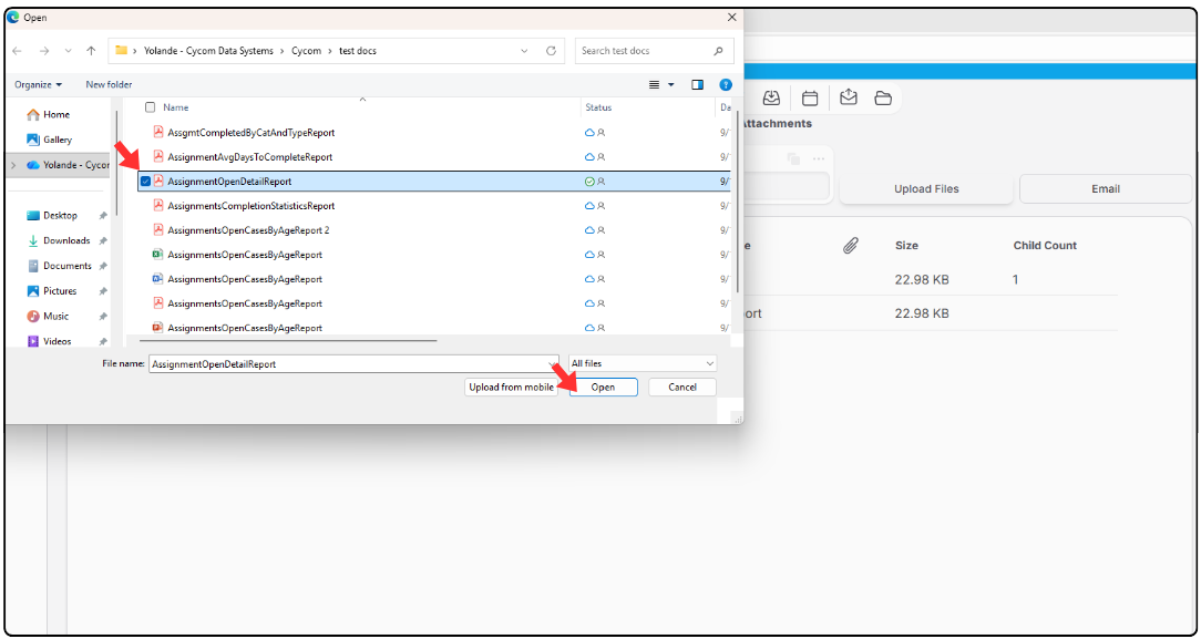 CLNG Assignments Matter Attachment Options – Cycom Help Center